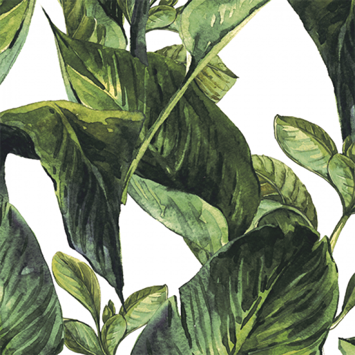Tropical Leaves Pattern - Sample Kit - Sample Kits - Search Art