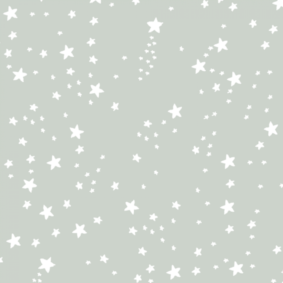 Star Gaze Pattern - Sample Kit - Sample Kits - Search Art